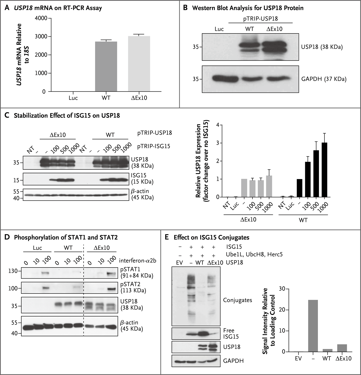 JAK抑制剂治疗一例遗传性USP18缺乏症患儿 - NEJM医学前沿