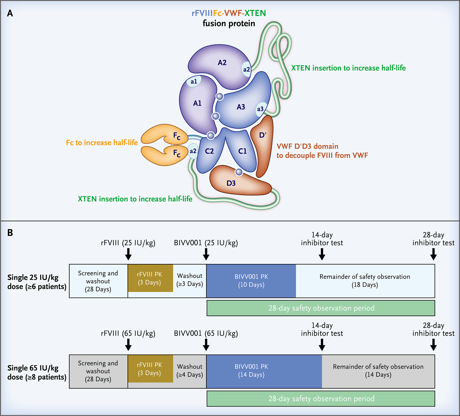 BIVV001融合蛋白作为血友病A的因子Ⅷ替代疗法 - NEJM医学前沿